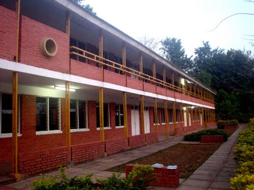 Adesoye College: Raising Young Leaders Since 1987 | Premium Times Nigeria