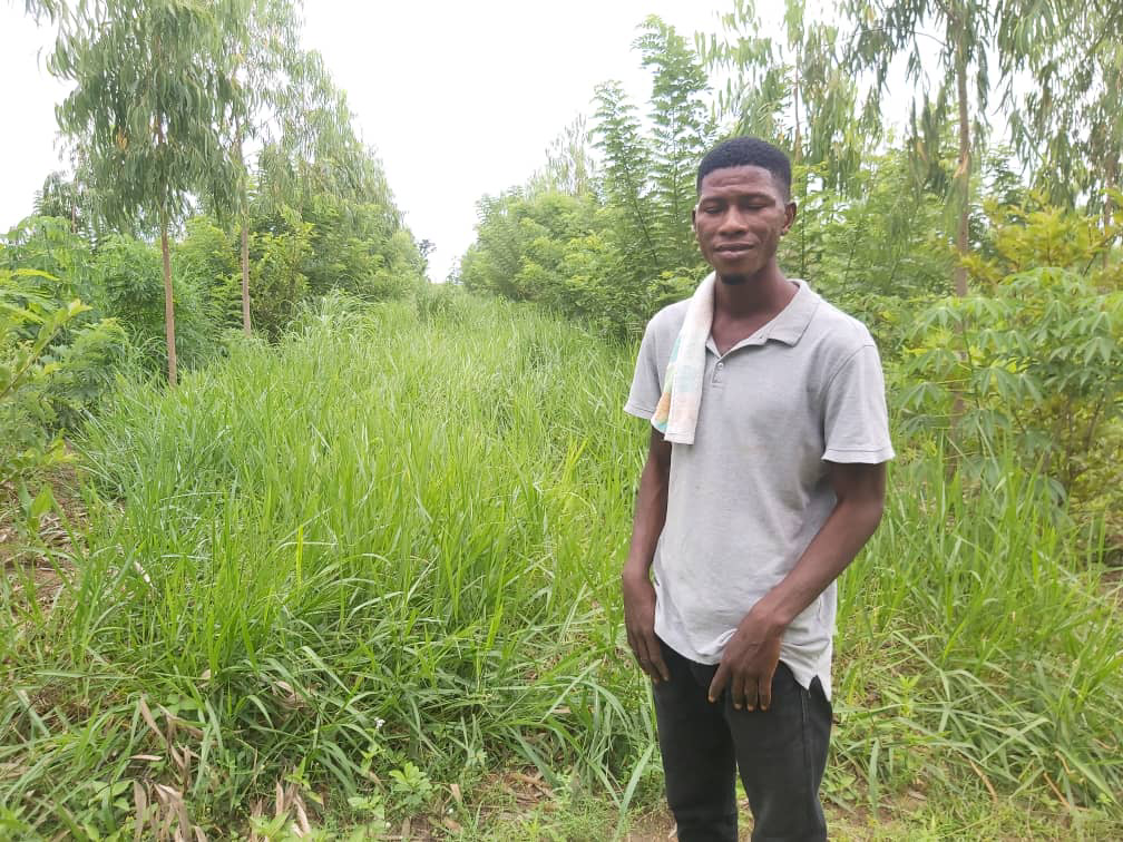 How farmers in Abuja community use 'agroforestry models' to fight ...