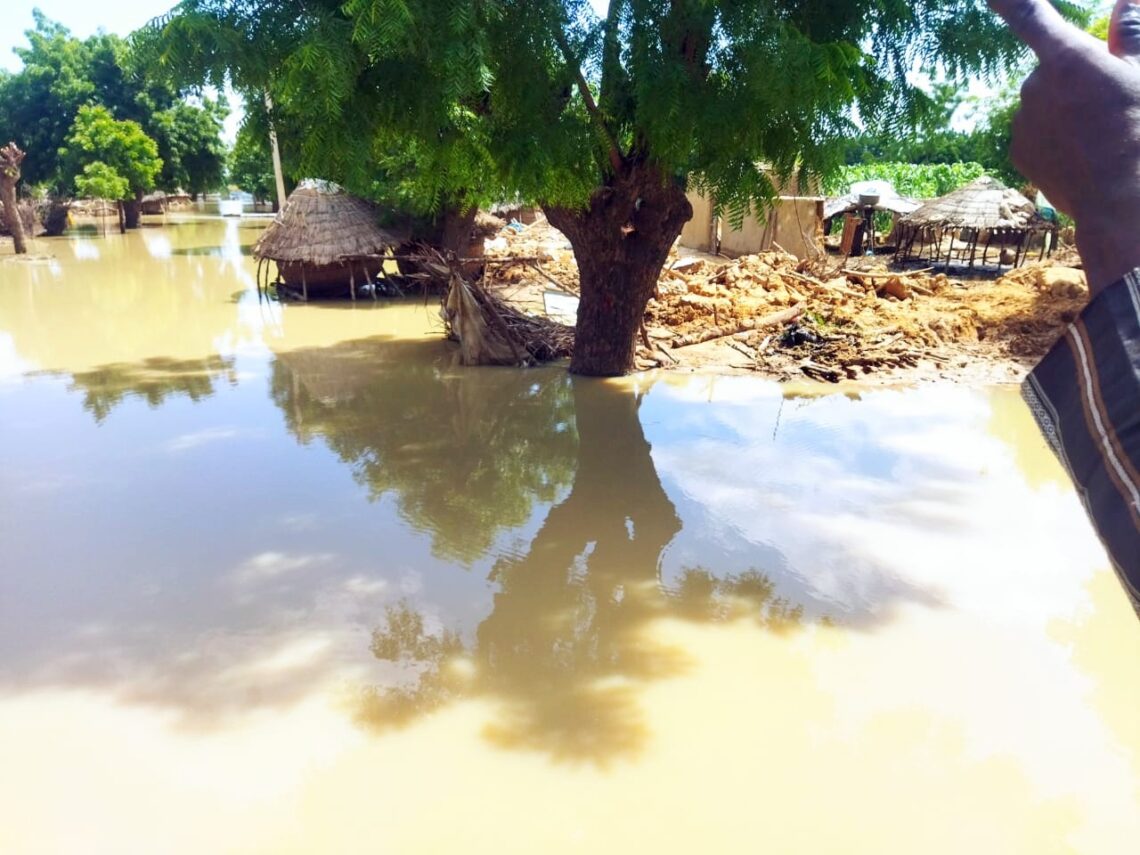 As floods ravage Jigawa, unregulated boat transport increases fatalities