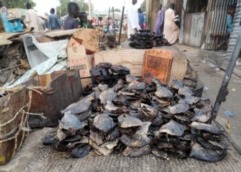 Baga Fish Market Archives | Premium Times Nigeria