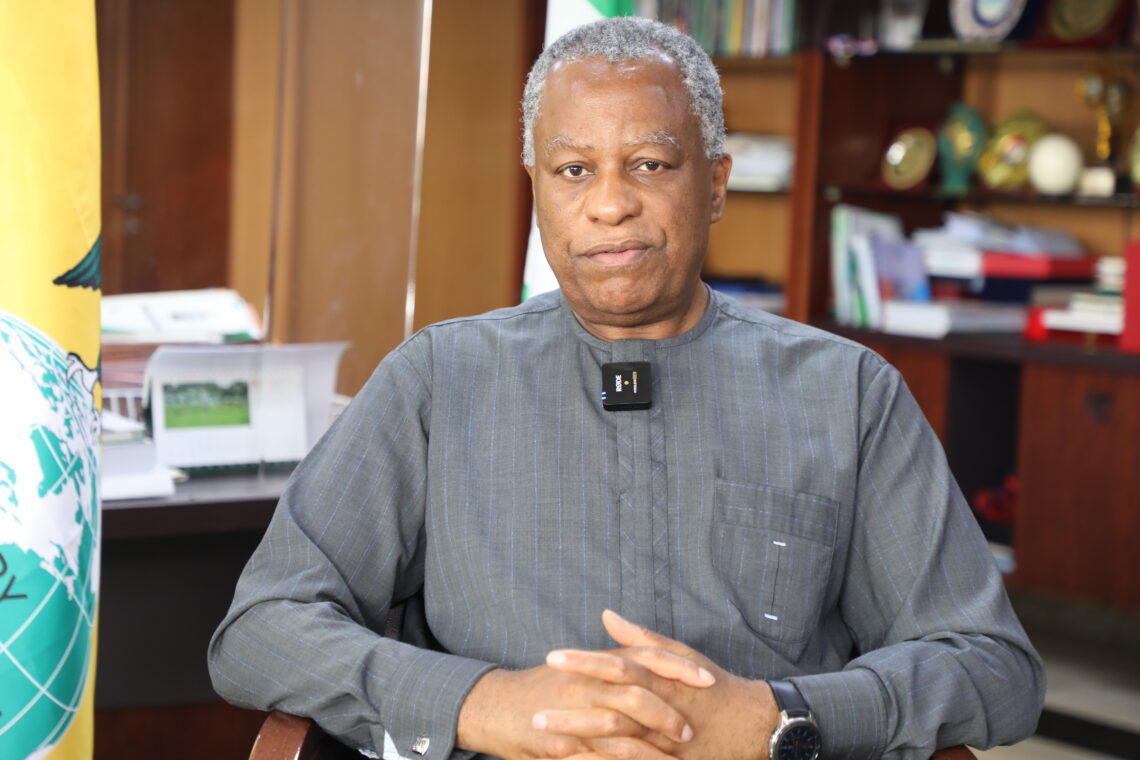 Nigerians in diaspora lament poor treatment at embassies abroad