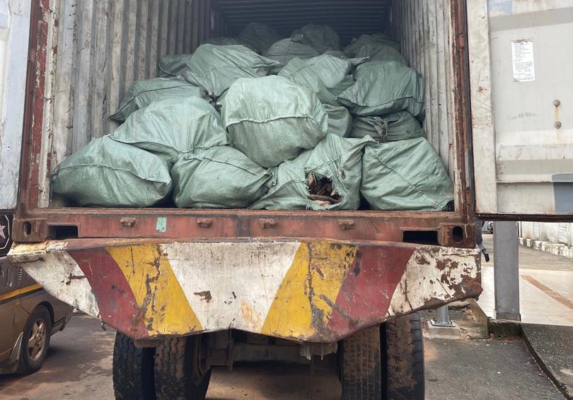 Nigeria Customs intercepts 13.6kg dry donkey skin worth N3.6 billion ...