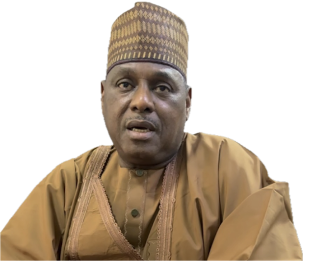 Ten years of progressive governance in Nigeria: From reform to renewal ...